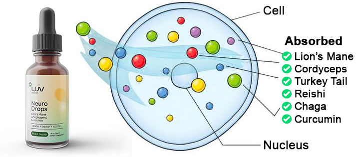 Neuro Drops® Are Now Sold Online